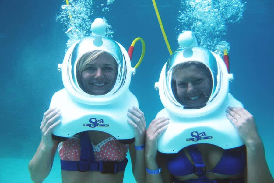 Bahía La Empacadora: Sea Trek Underwater Walking Experience - What to Expect: From Marina to Marine Life