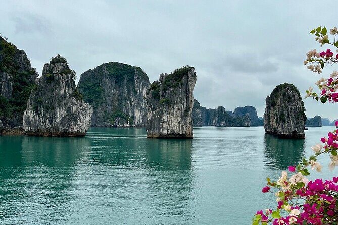 Bai Tu Long Bay 2 Days 1 Night Tour from Hanoi - Practical Considerations