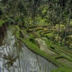 Bali: 3-Day Honeymoon Tour W/Private Car & Customize Tour - What Makes This Tour Stand Out?