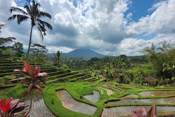 Bali 4WD Adventure WakaLand UNESCO Jatiluwih Trip in Bali Outback - Who Will Appreciate This Tour?