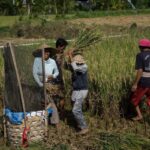 Bali: 6-Hour UNESCO Sites Cultural Walking Tour - Why This Tour Offers Great Value