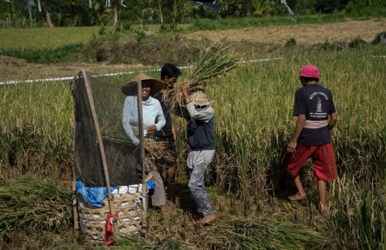 Bali: 6-Hour UNESCO Sites Cultural Walking Tour - Why This Tour Offers Great Value