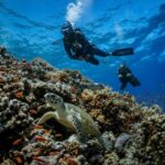 Bali, Amed: Advanced Open Water Course with Kayak Adventure - Detailed Review: What It’s Like and Why It Matters