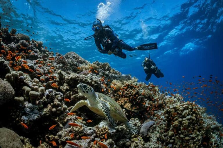 Bali, Amed: Advanced Open Water Course with Kayak Adventure - Detailed Review: What It’s Like and Why It Matters