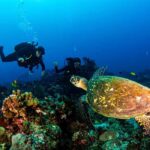 Bali, Amed: Deep Diver Speciality Course and Kayak Trip - Deep Dive into the Itinerary and Experience