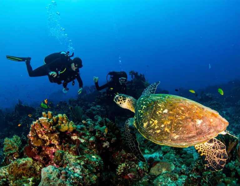 Bali, Amed: Deep Diver Speciality Course and Kayak Trip - Deep Dive into the Itinerary and Experience