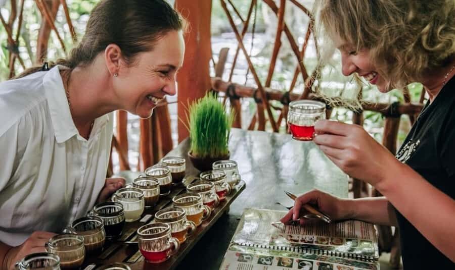 Bali: ATV, Coffee Plantation, Temple & Monkey Forest Tour - Analyzing the Value