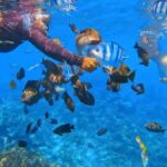 Bali: ATV Ride and Snorkeling Tour with Hotel Transfer - The Practical Details
