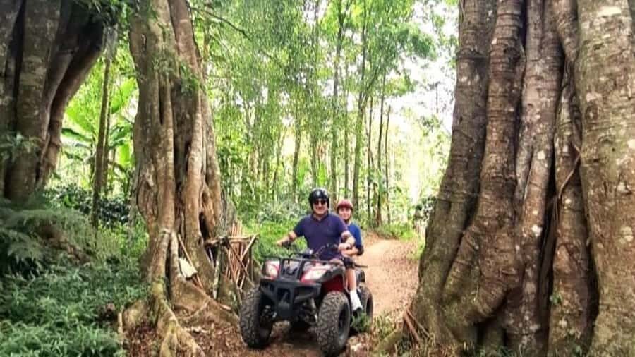 Bali: ATV Ride with Waterfall and Forest Trails - Why This Tour Offers Good Value