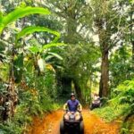 Bali: ATV Ride with Waterfall and Jungle Trails - The Scenic and Cultural Value