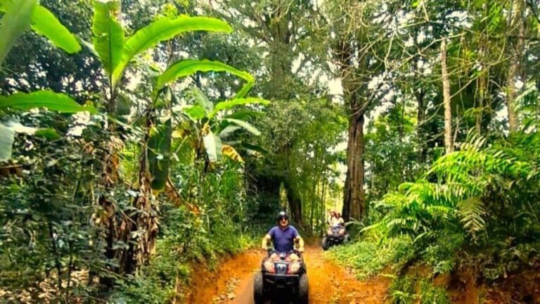 Bali: ATV Ride with Waterfall and Jungle Trails - The Scenic and Cultural Value