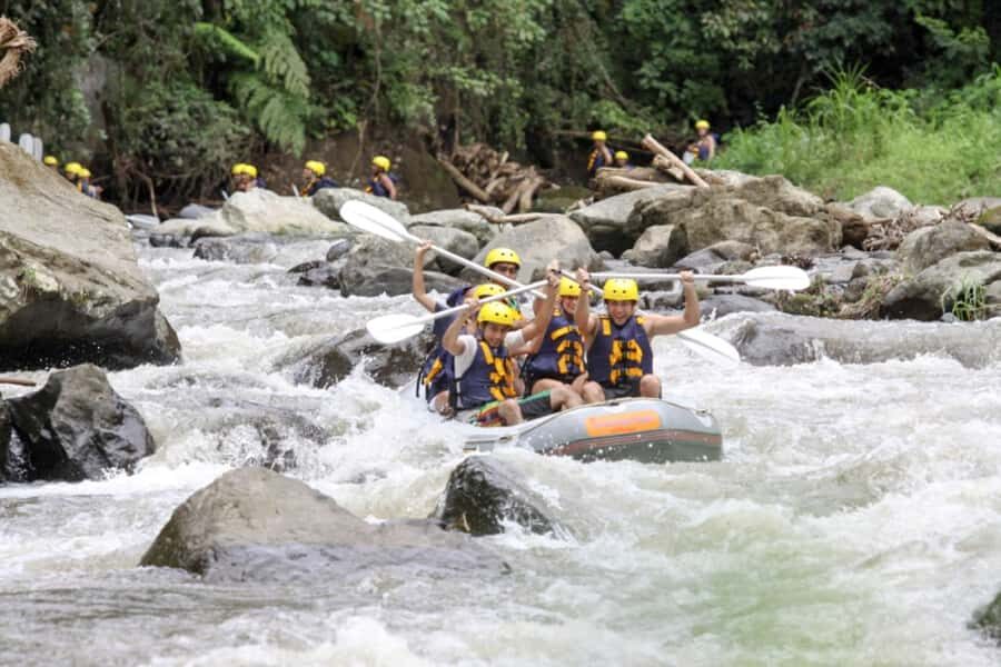 Bali: Ayung River Premium White Water Rafting with Lunch - Who Should Consider This Tour?