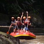 Bali: Ayung River Rafting with Buffet Lunch and Hotel Pickup - What to Expect on the Tour