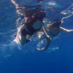 Bali: Basic Snorkeling at Menjangan Island - What Makes This Tour Worth Considering?