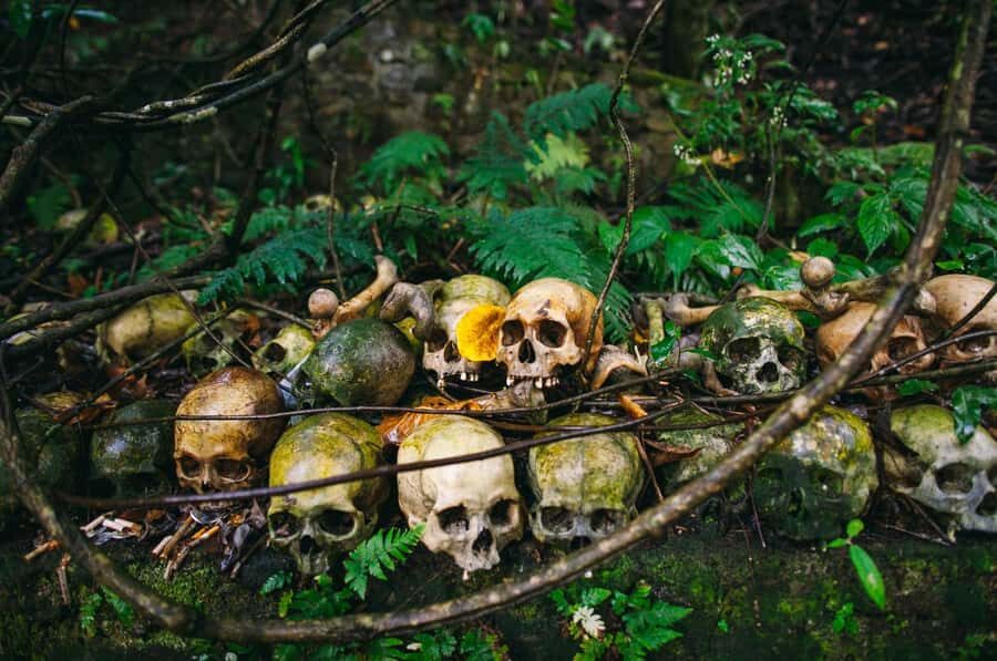 Bali/Batur: Mystical & Burial Rituals Tour with Kehen Temple - What to Expect During the Day