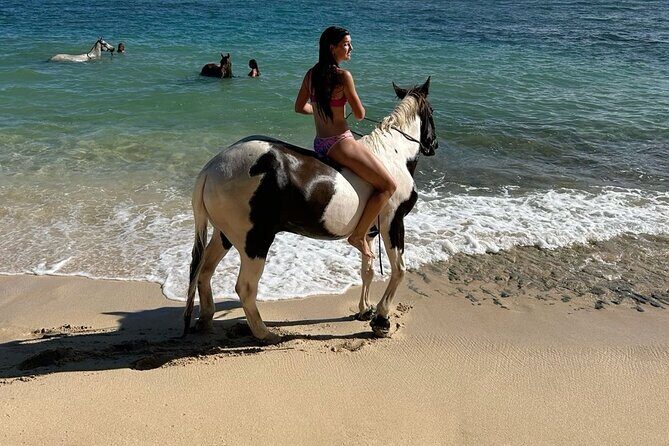 Bali Beach Horse Riding combo with waterfall All Inclusive - The Practicalities: What to Expect