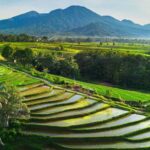 Bali: Beautiful North Bali, Temples, Waterfalls all included - Practical Tips for Making the Most of This Tour