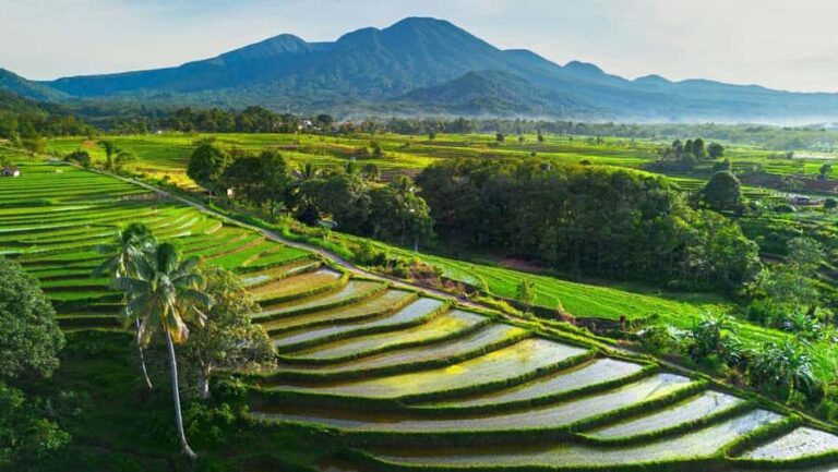 Bali: Beautiful North Bali, Temples, Waterfalls all included - Practical Tips for Making the Most of This Tour