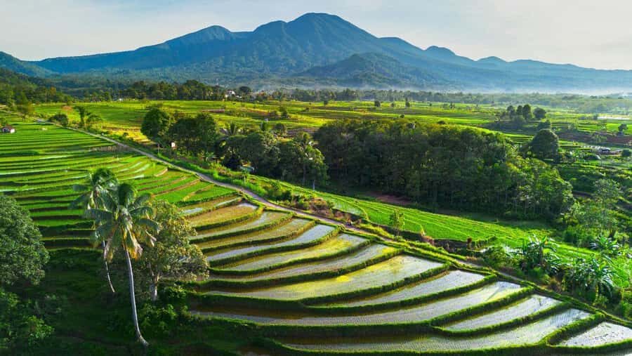 Bali: Beautiful North Bali, Temples, Waterfalls all included - Practical Tips for Making the Most of This Tour