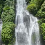 Bali: Bedugul Highlands Waterfalls, Temples & Gardens Tour - What to Expect: Practical Details for a Smooth Day