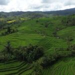 Bali: Belimbing Village Trek with Waterfall & Temple Visit - Who Will Love This Tour?