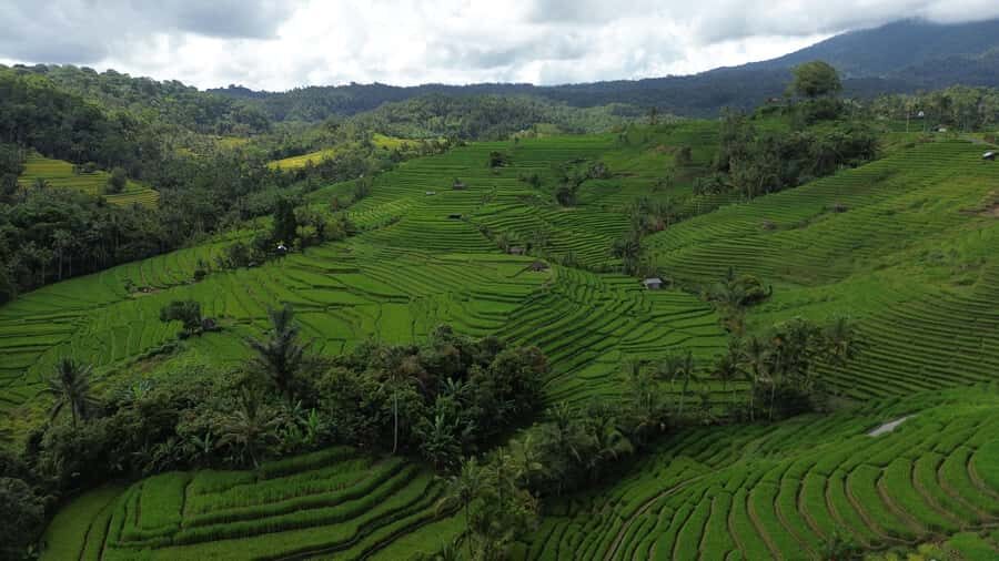 Bali: Belimbing Village Trek with Waterfall & Temple Visit - Who Will Love This Tour?