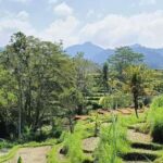 Bali: Besakih Temple and Sidemen Tour - What to Expect from the Tour