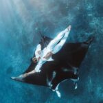 Bali : Best Trip of Nusapenida Island in one day - Key Points