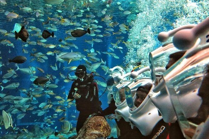 Bali Best Watersport Sea walker,Parasailing adventure,Jet sky - Who Will Love This Tour?