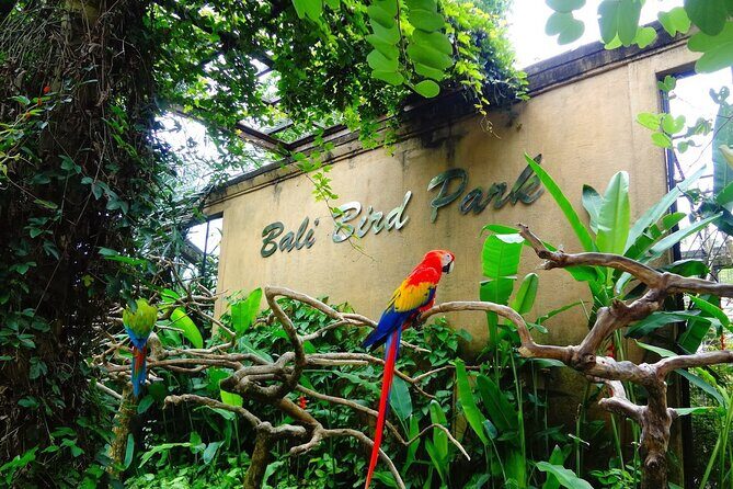 Bali Bird Park Admission Pass - What You Can Expect: The Itinerary Breakdown
