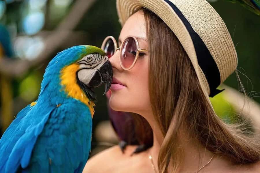 Bali Bird Park & Pirate Dinner Cruise the Unique Adventure - Final Thoughts: Who Should Consider This Tour?
