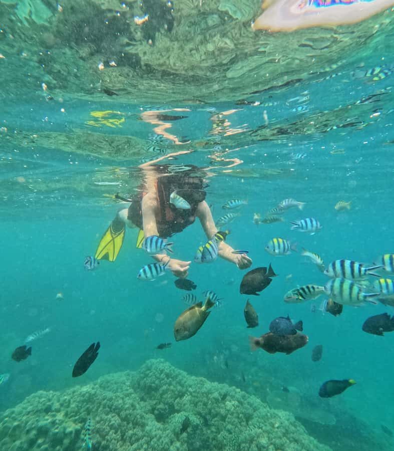 Bali: Blue Lagoon and Tanjung Jepun Snorkeling Tour - The Itinerary — What to Expect