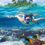Bali: Blue Lagoon Beach Snorkeling Tour with Lunch - Who Will Love This Tour?