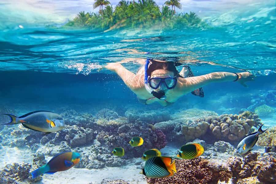 Bali: Blue Lagoon Beach Snorkeling Tour with Lunch - Who Will Love This Tour?