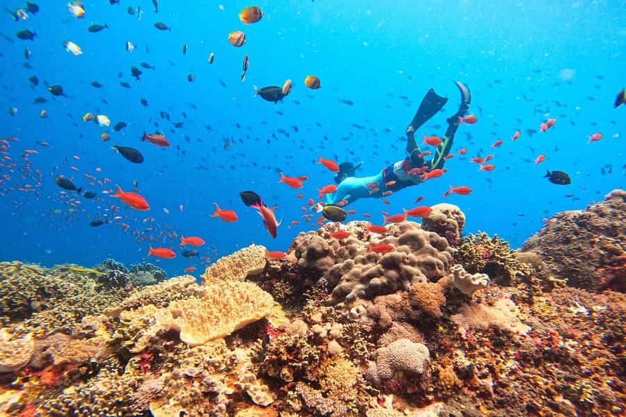 Bali: Blue Lagoon Snorkeling, Kantolampo & Tibumana - The Itinerary in Detail