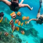 Bali Blue Lagoon Snorkeling Tour - Itinerary Breakdown: What to Expect
