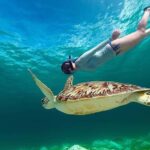 Bali: Blue Lagoon Snorkeling Tour with Ayung River Rafting - Who Would Enjoy This Tour?