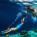 Bali: Blue Lagoon Snorkeling with Lunch & Transport - Who Should Consider This Tour?