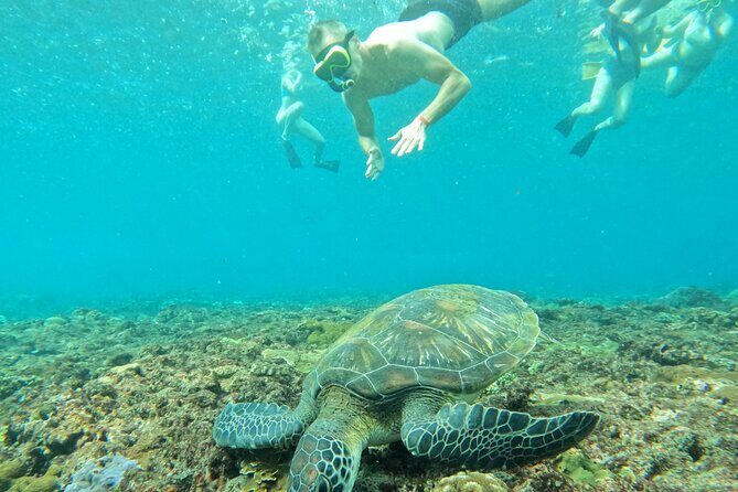 Bali Blue Lagoon Snorkling , Waterfalls - Exploring Bali’s Waterfalls in Style