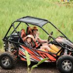Bali Buggy Adventure with Hotel Pickup - Who Will Love This Tour?