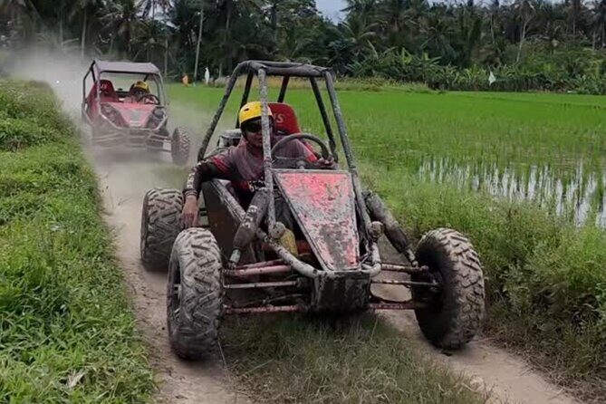 Bali Buggy UTV Adventure in Ubud - FAQs
