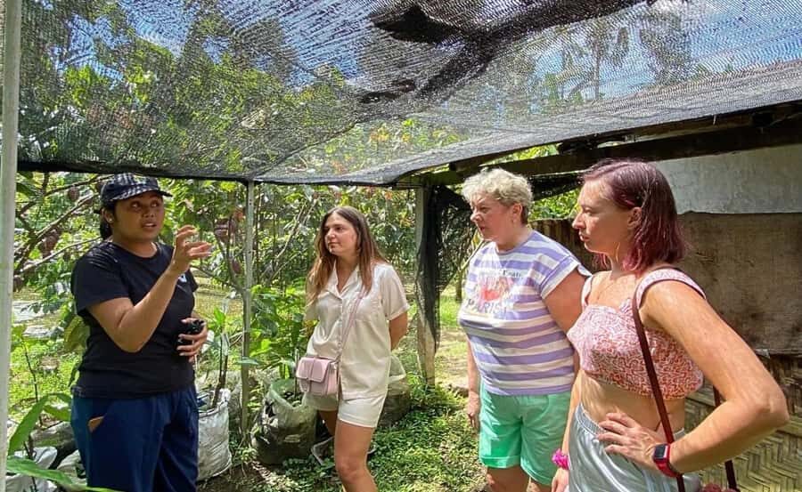 Bali: Chocolate Tour with Rice Terraces and Temple Visit - The Experience in Detail: What You Can Expect