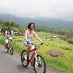 Bali: Countryside on Two Wheels Cycling Adventure - The Itinerary in Detail