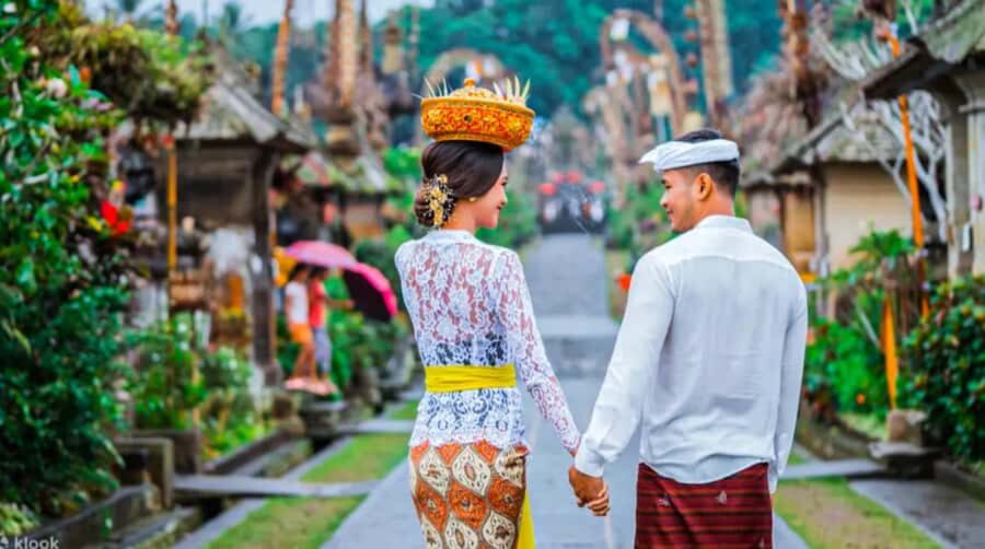Bali: Culture Heritage Village & Holy Spring PrivateDay Tour - Who Will Love This Tour?