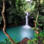 Bali: Customised North Bali Tour With Private Car and Driver - Final Thoughts