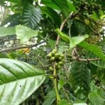 Bali: Customize Private Day Tour with Driver-Guide - In-Depth Look at the Itinerary and Highlights