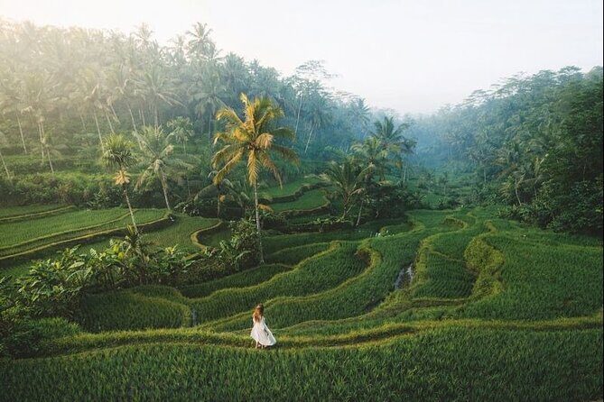 Bali Customized Private Tour: Flexible One or Multi-Day - Why This Tour Works for Travelers