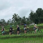Bali: Cycling Tour with Breakfast - What to Expect and Practical Tips