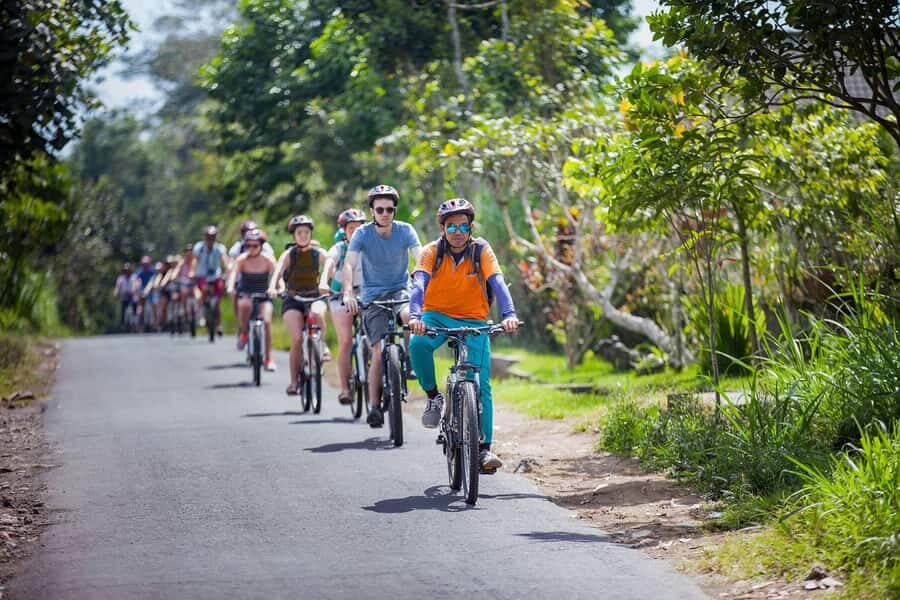 Bali: Cycling Tour with Lunch and Hotel Transfer - Who Is This Tour For?