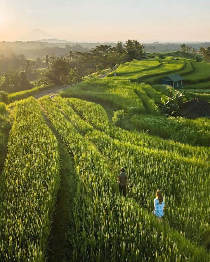 Bali: Discover Jungle Waterfalls and Rice Terraces - Walking Through Bali’s Iconic Rice Terraces